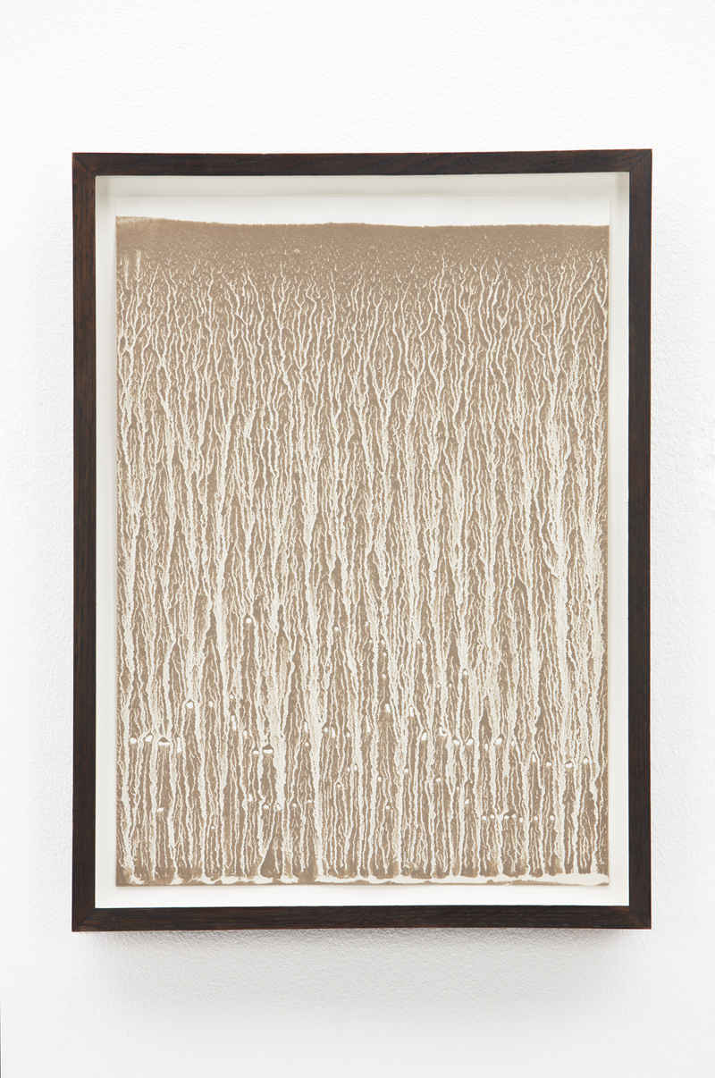 Richard Long | Artists | Lisson Gallery