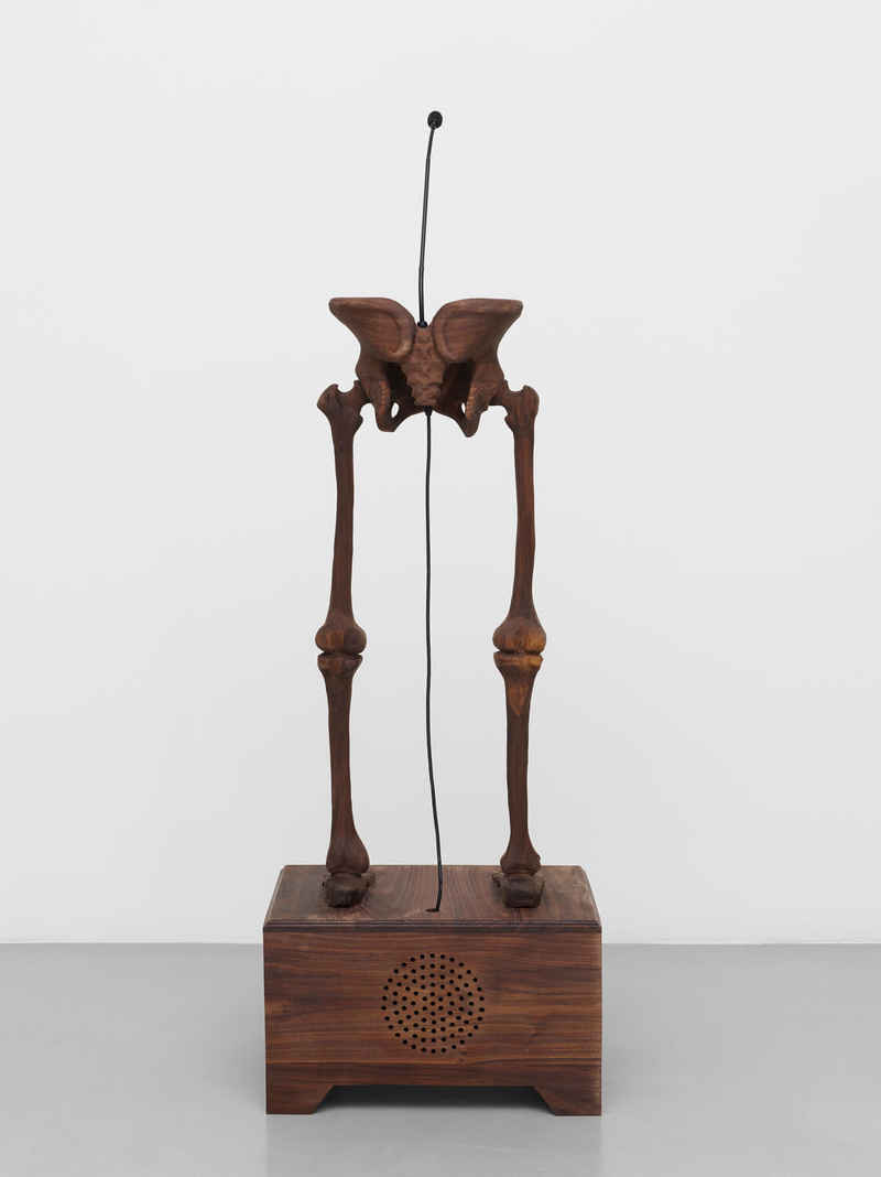 Hugh Hayden | Artists | Lisson Gallery
