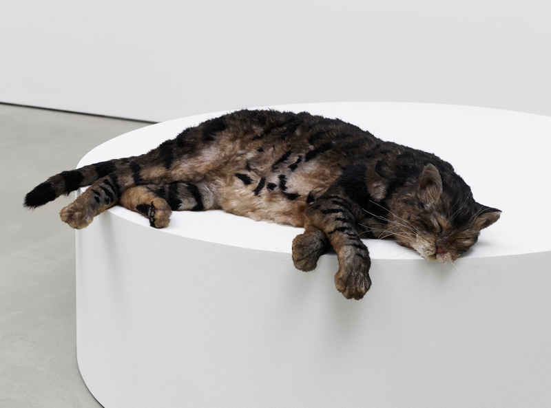 Ryan Gander | Artists | Lisson Gallery