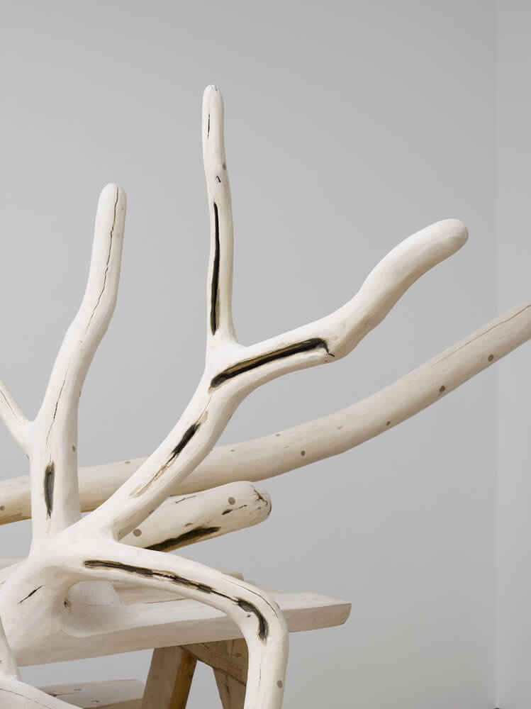 Hugh Hayden | Artists | Lisson Gallery